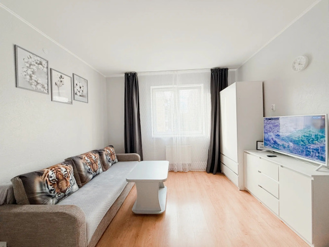 Yuzhny Vokzal- Rybnaya Derevnya Apartments - Kaliningrad