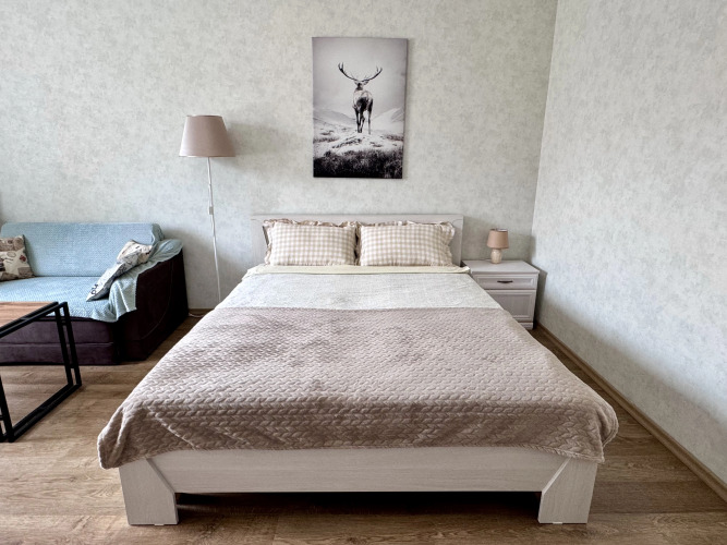 Ryadom S Yuzhnym Vokzalom Apartments - Kaliningrad