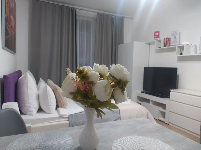 Tikhie Uyutnye Apartamenty Dlya Spokoynogo Otdykha Flat - Saint Petersburg