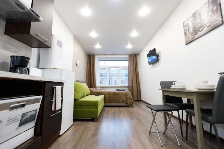 Studiya S Vidom Na Nevskiy Flat - Saint Petersburg
