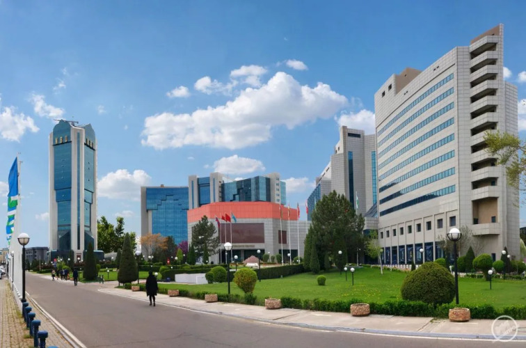 Dom Hotel Badamzar Guest House - Tashkent
