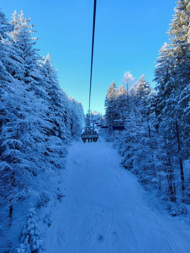 Peaceful 4-room In Maribor's Green Garden Private House - Maribor