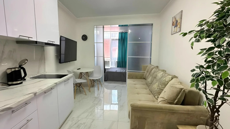 Studiya Na Svetlane Flat - Sochi