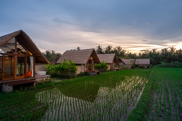 Pondok Mawas Hotel - Ubud