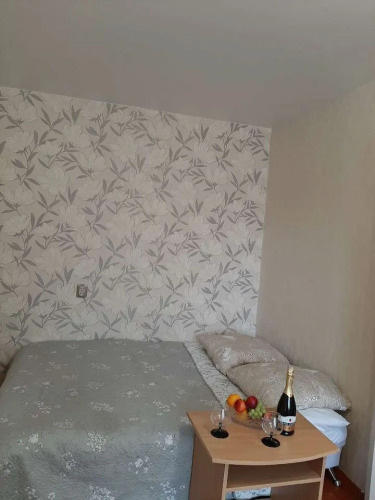 Na Michurina 40 Flat - Каменск-Уральский