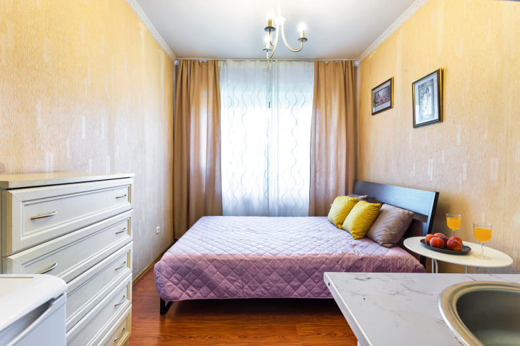Uyutnaya Studiya Na Fermskom Shosse 32 Lodging House - Saint Petersburg (Russia)