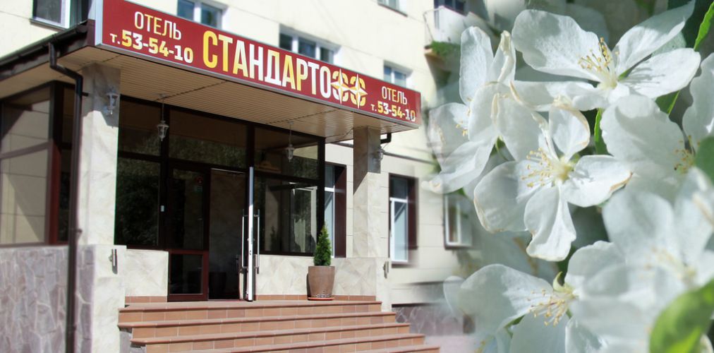 Отели Стандартофф - Омск