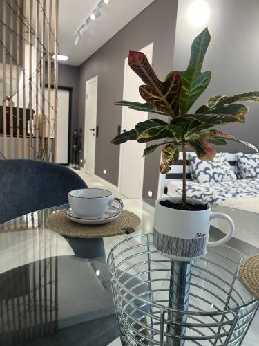 Minskmirapartments Apartments - Minsk