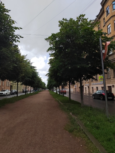 Uyutnaya Na Vasilyevskom Ostrove Ryadom S Tsentrom Flat - Saint Petersburg