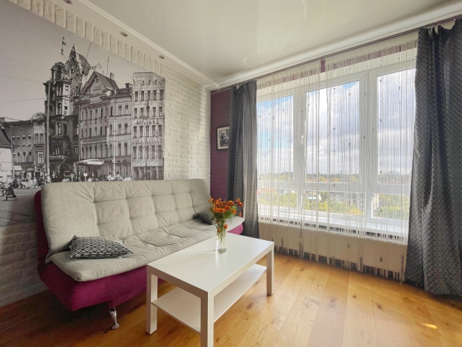 V Istoricheskom I Tikhom Rayone Amalienau Apartments - Kaliningrad