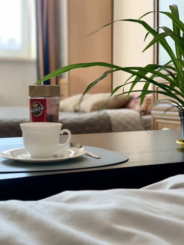 Na Kamenskoy Ulitse 103 Flat - Каменск-Уральский