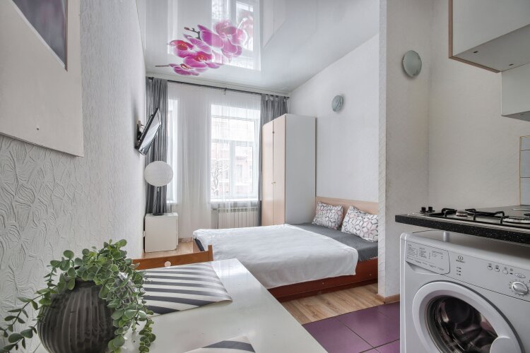 Ostrov Studio 3 Apartment - 상트페테르부르크