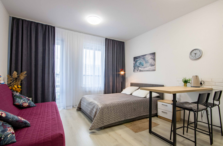 Krasivaya Studiya V Primorskom Rayone Apartments - San Petersburgo