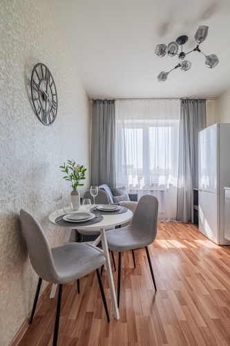 V Tsentre S Vidom Na Plotinku Flat - Yekaterinburg