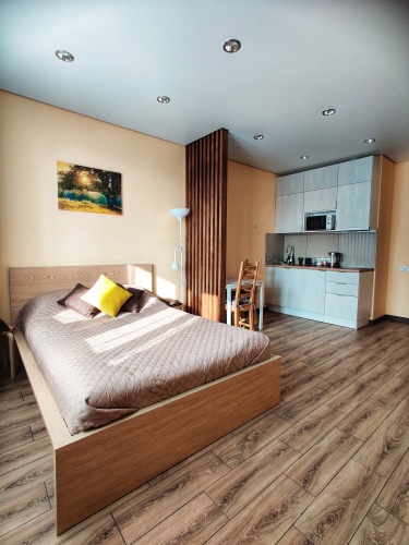 Komfortnaya Studiya U Shuvalovskogo Parka Flat - Saint Petersburg (Russia)