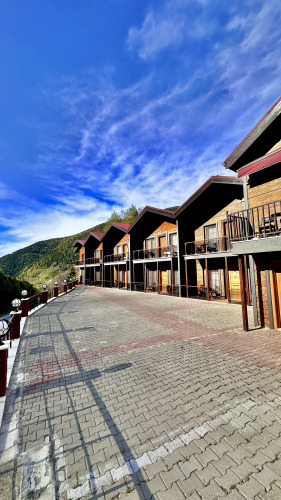 Green Cinar Apart Apart-hotel - Rize