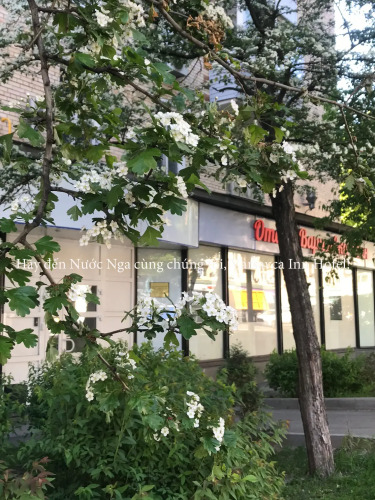 Hotel Varsavca Inn - Moscow