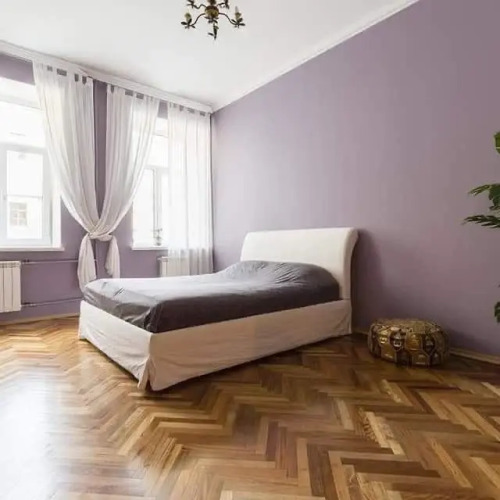 Prostornaya Treshka Na Rubinshteyna 30 Flat - Saint Petersburg (Russia)