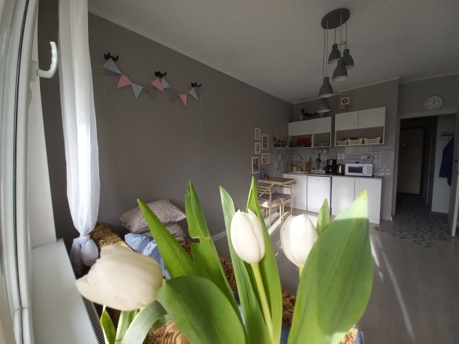 Uyutnaya Sudiya Nedaleko Ot Tsentra Kaliningrada Flat - Kaliningrad
