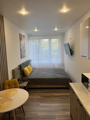 V Istoricheskom Parke Ratskhof Studio Flat - Królewiec