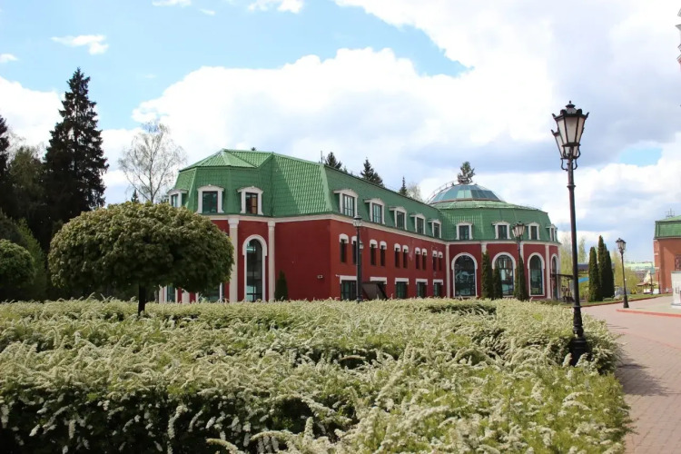 Tepleevo Hotel - موسكو