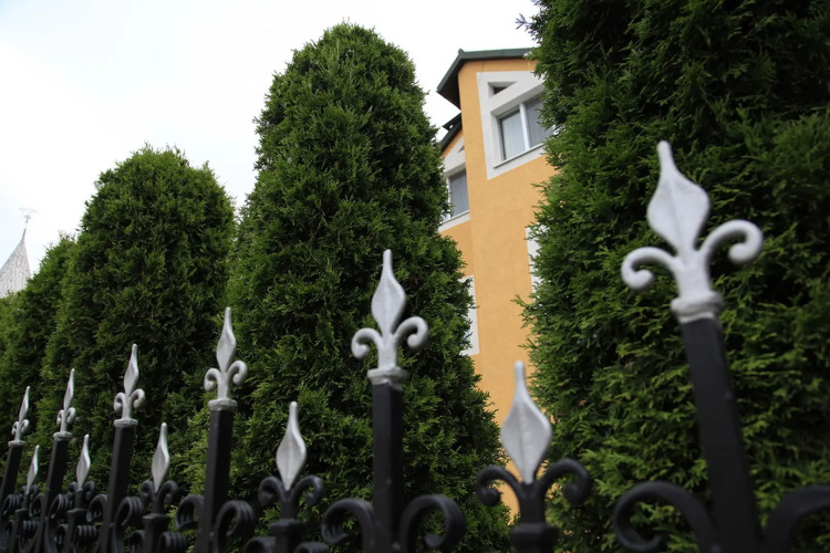 Yantarina - Kaliningrad