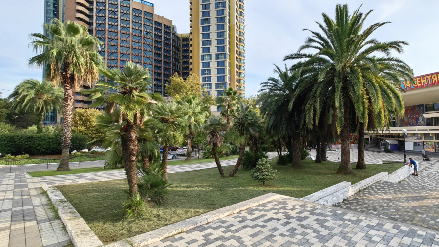 Goodzone Na Pushkina Apartments - Sochi