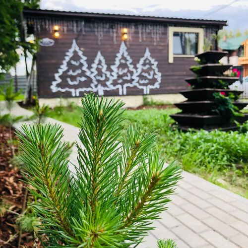 Merlin Lopanovich Park Guest House - 상트페테르부르크
