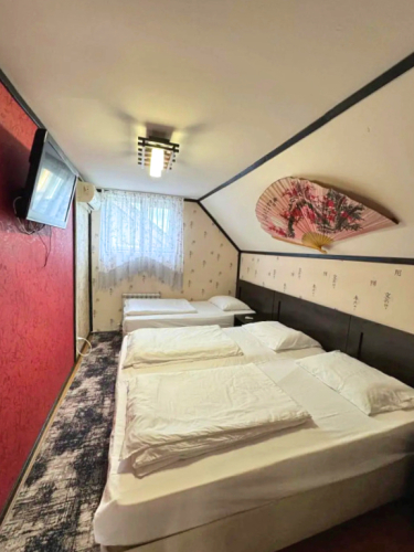 Yaponskiy Privat House - Kazan