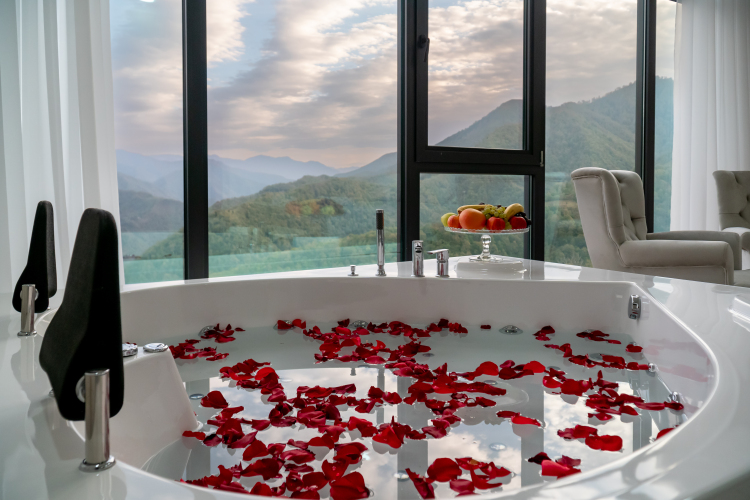 Hotel Chateau Milisi - Artvin