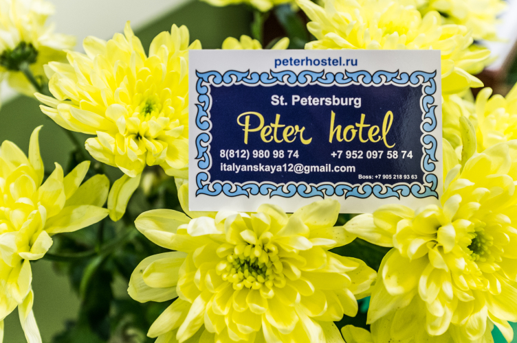 Pyotr Hotel - Saint-Pétersbourg