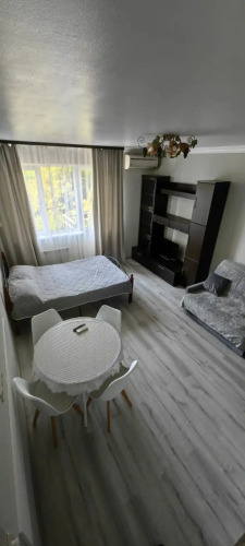 Odnokomnatnaya Flat - Sochi