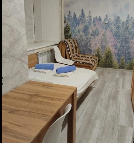 Uyutnaya Apart-studiya Radom S Kazanskim Vokzalom Apartments - Moscow