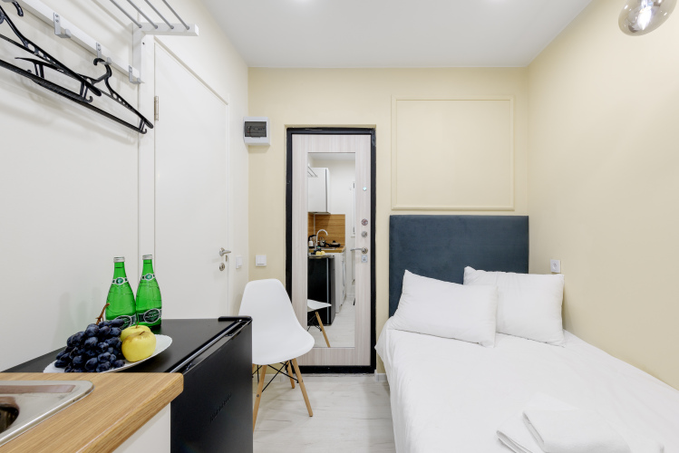 Apartment Veda Aparts 3 Ligovskiy55 - Saint Petersburg