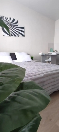 S Oknami Vo Dvor Lodging House - Moskau