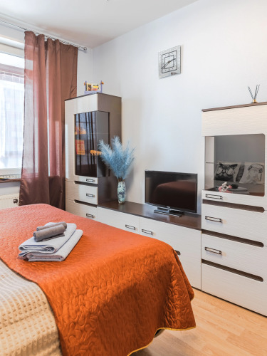 Ryzhik Umnye Kvartiry Flat - Saint-Pétersbourg