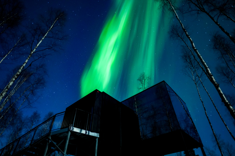 Silver Birch Resort - Lapland