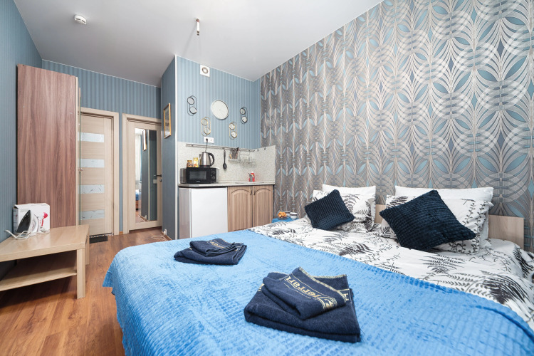Studiya 1 - Vnukovogoodhouse Aeroport Vnukovo/metro Pykhtino Apartments - Moscow