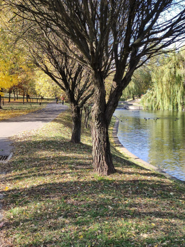 V Tikhom Tsentre Goroda Apartments - Minsk