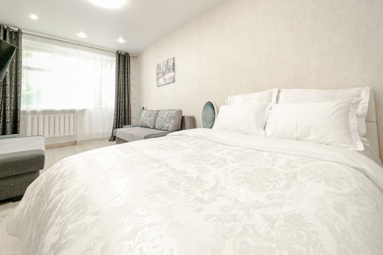 Odnokomnatnaya Kvartira Standart V Tsentre Apartments - Minsk