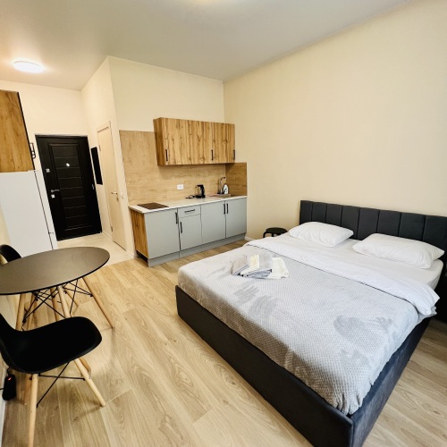 Artsolnce Vnukovo Apartments - Moscow Vnukovo Airport (VKO)