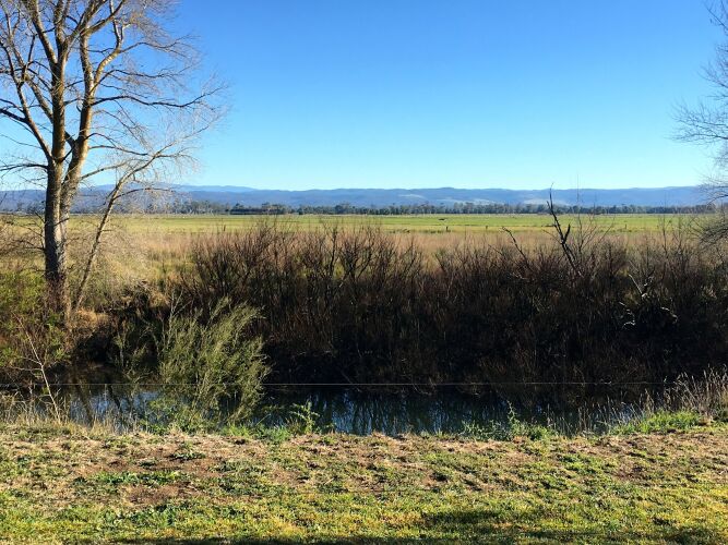 Abington Farm - Gippsland