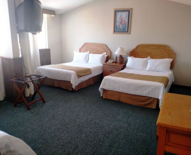 Biohotel Metepec - Metepec