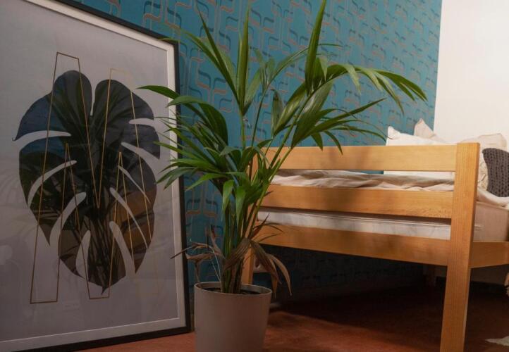 Laola Living - Hostel - Essen