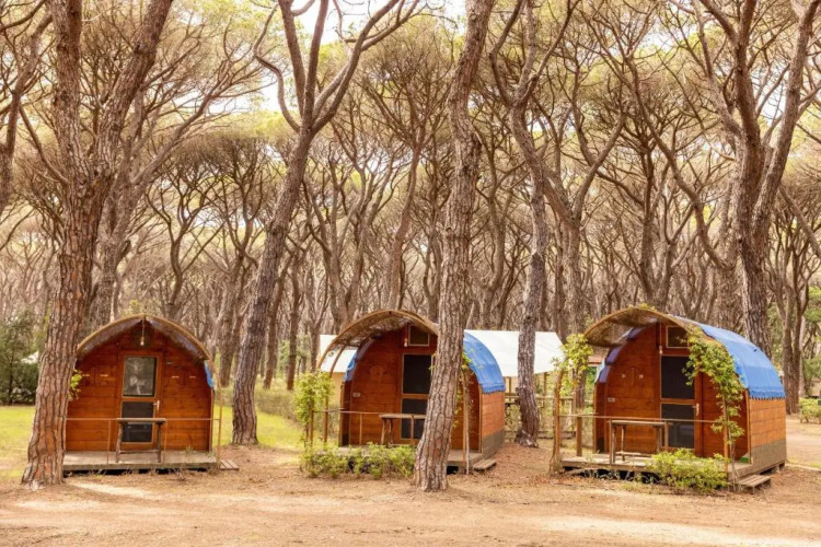 Gitavillage Le Marze - Tuscany